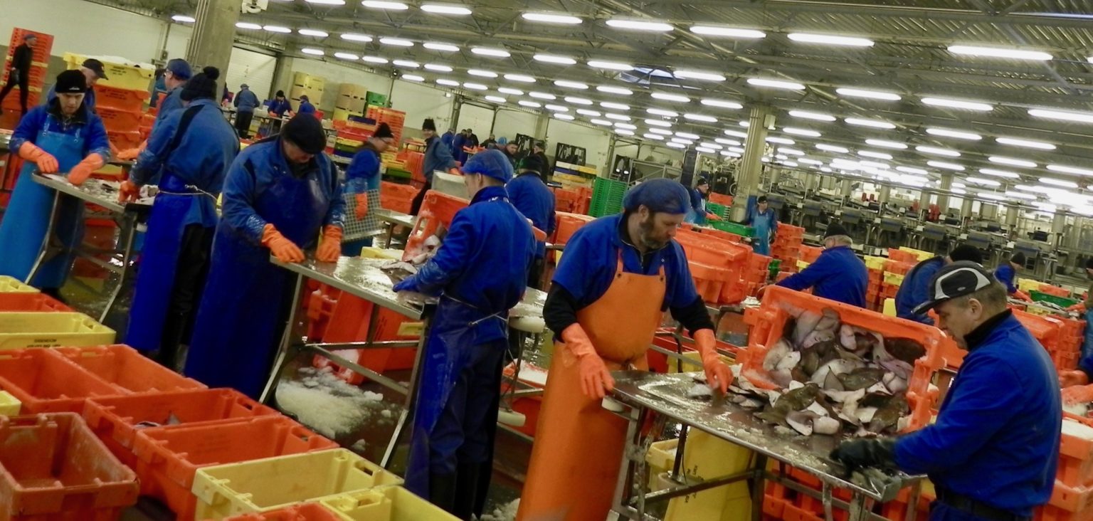 Training – Catching The Potential